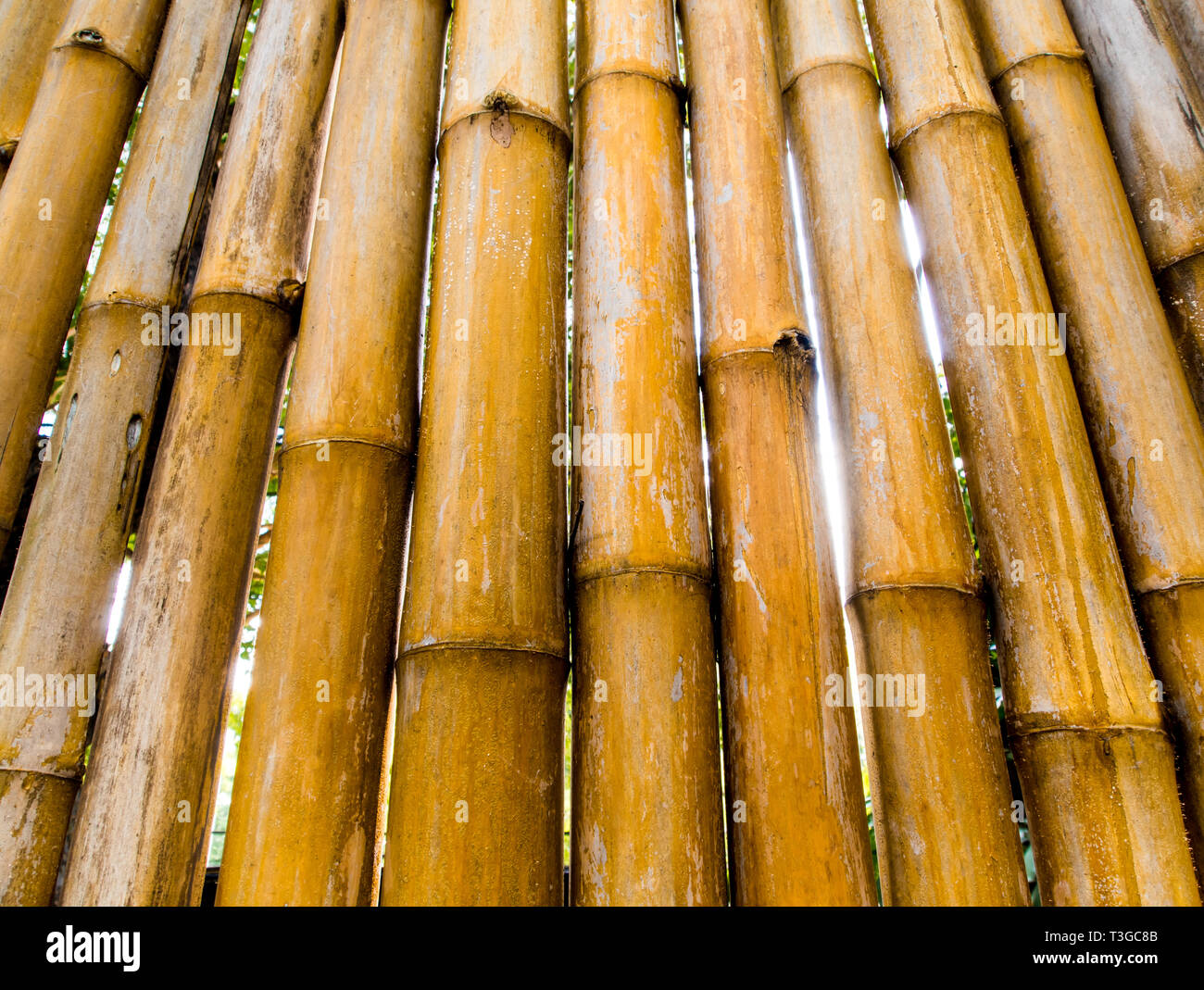 The surface texture of the bamboo set for decorating the wall Stock ...