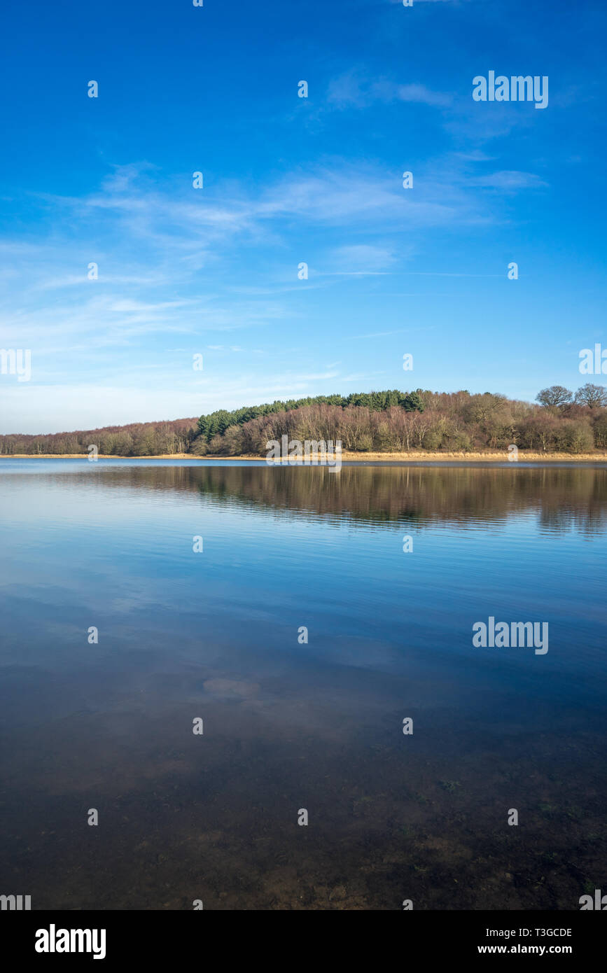 Beautiful view looking across lake on a blue sky sunny day with ...