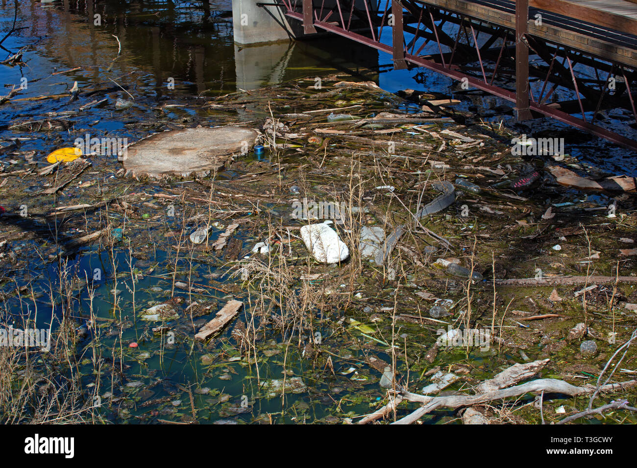 Garbage and litter in a pond Stock Photo - Alamy