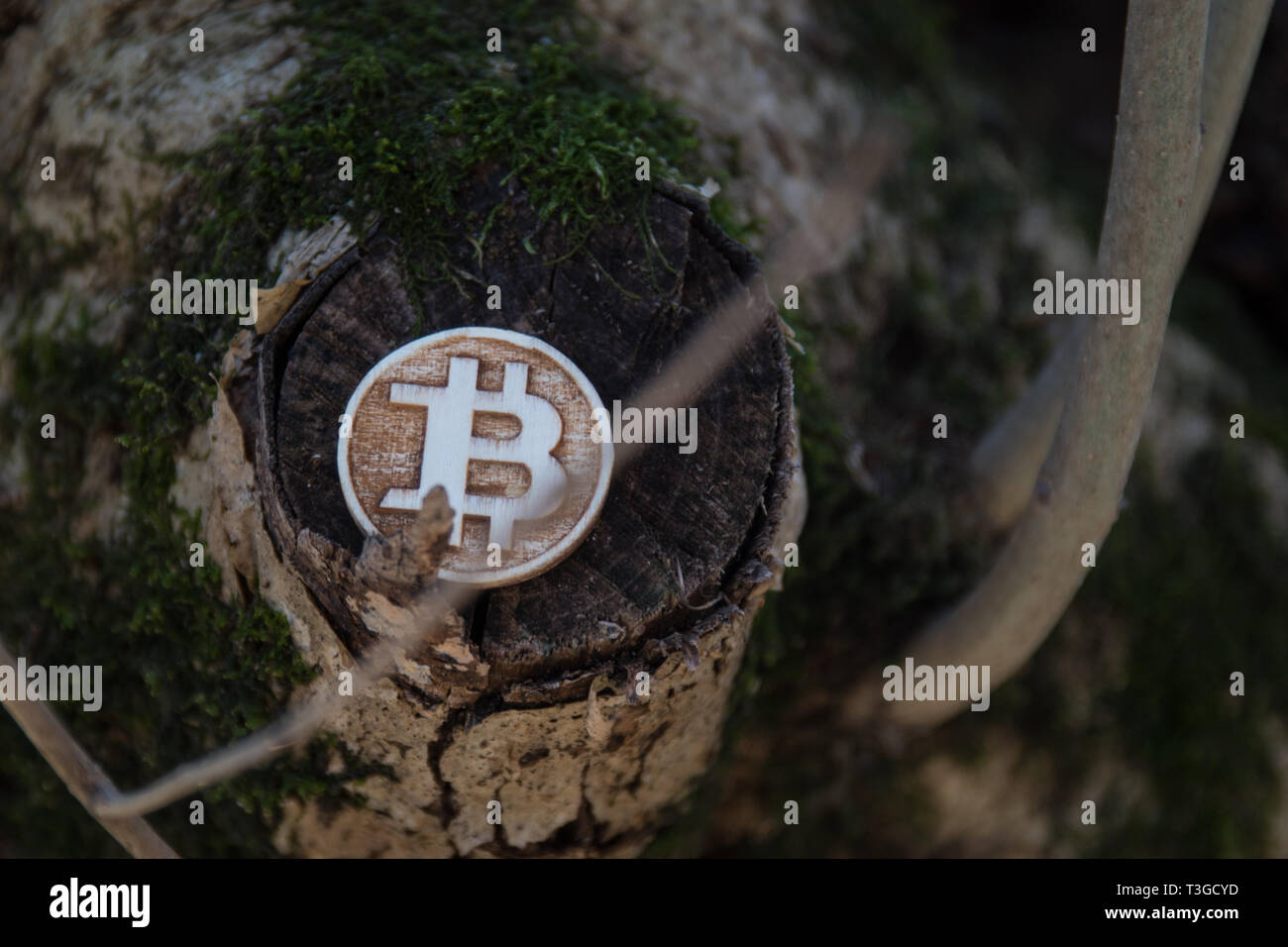 Made from wood custom bit coin in nature Stock Photo - Alamy
