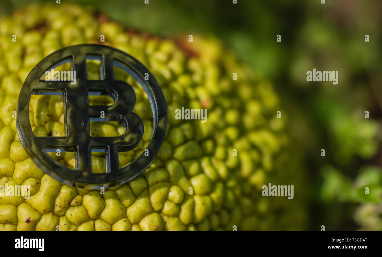 Made from black plastic custom bit coin in nature Stock Photo - Alamy