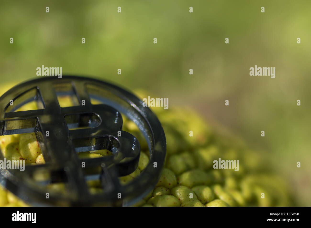 Made from black plastic custom bit coin in nature Stock Photo - Alamy