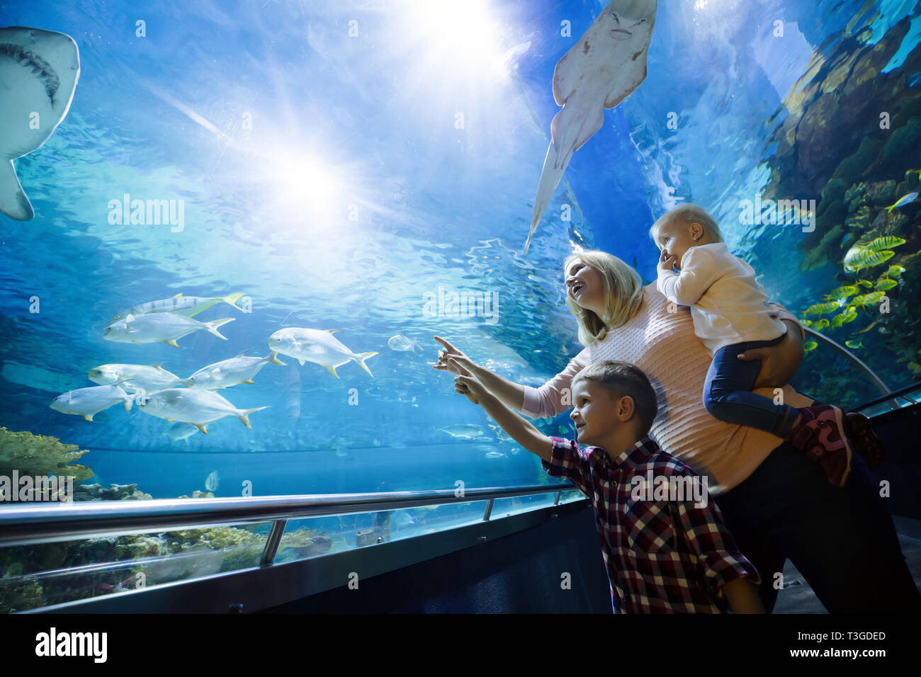 Sea family activities hi-res stock photography and images - Alamy