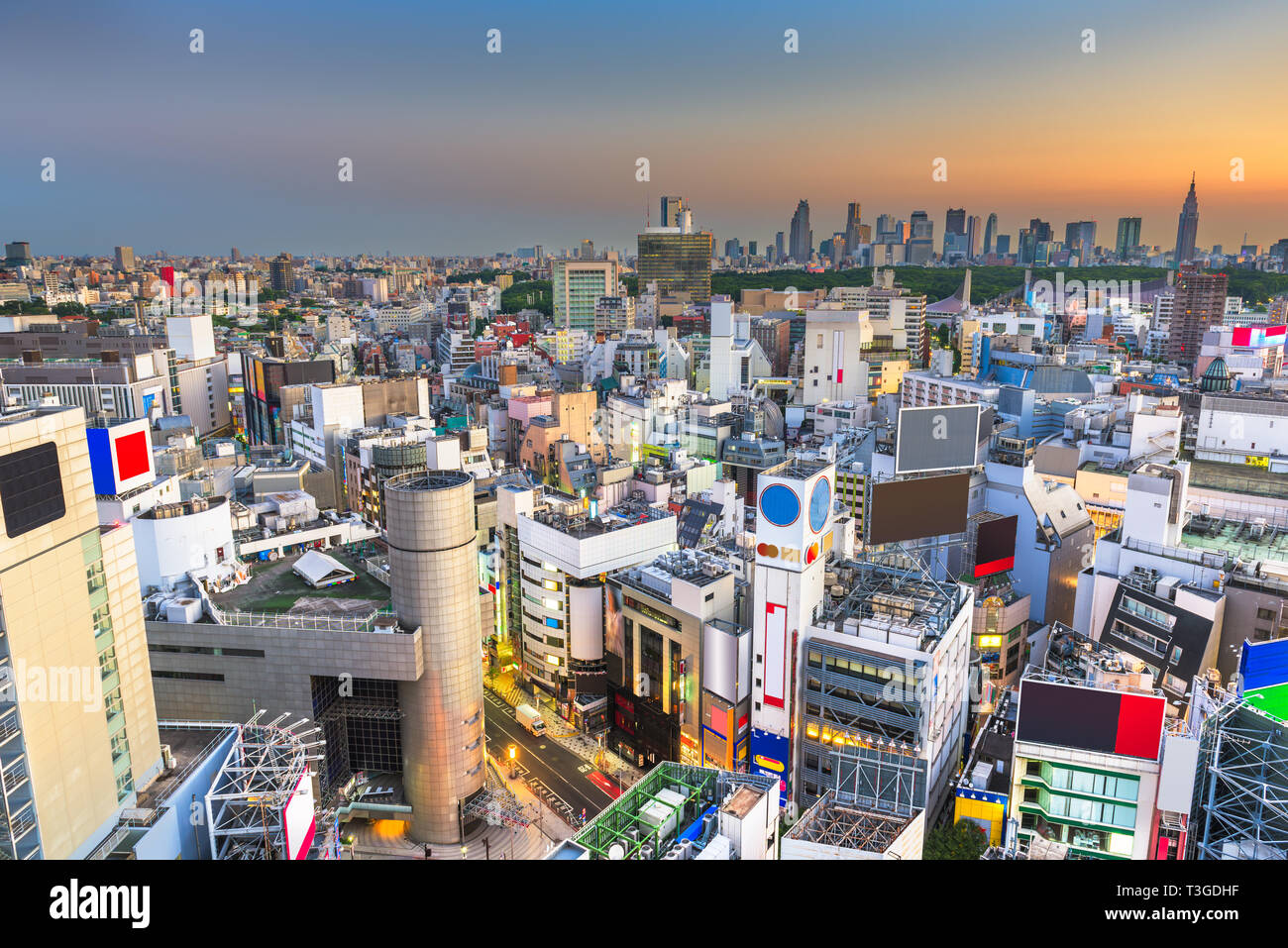 Tokyo, Japan city skyline over Shibuya Ward with the Shinjuku Ward skyline in the distance Stock ...