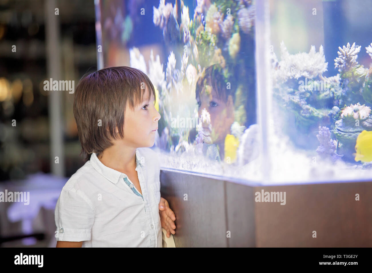 Oceanic panorama hi-res stock photography and images - Alamy