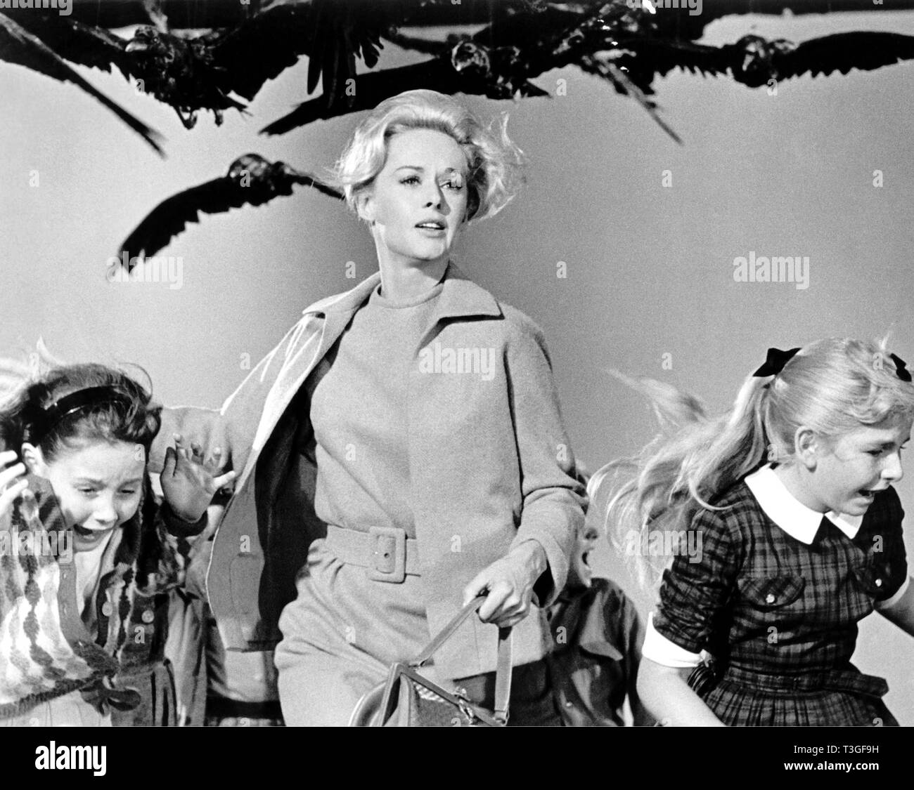 Hitchcock the birds tippi hi-res stock photography and images - Alamy