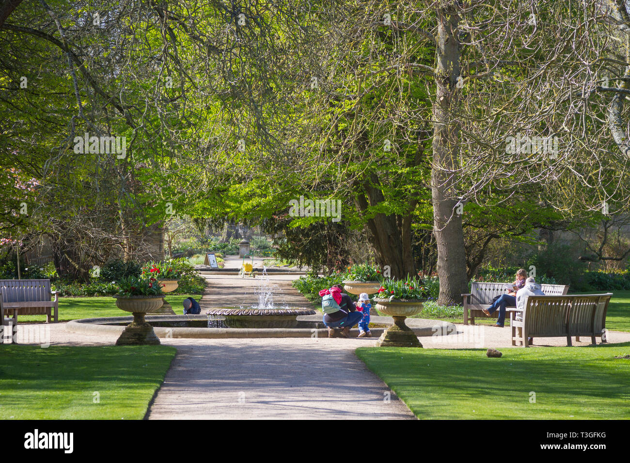 The Oxford Botanic Garden in early Spring Stock Photo - Alamy