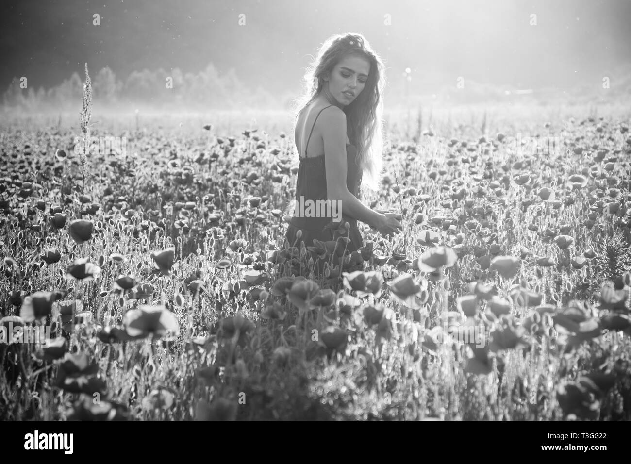 poppy seed and girl with long curly hair Stock Photo - Alamy