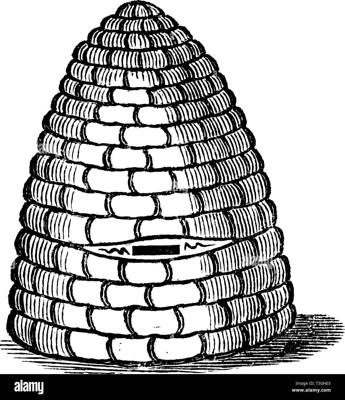 Beehive historic illustration hi-res stock photography and images - Alamy