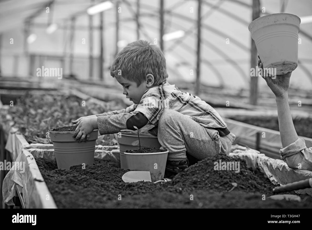 Side view blond kid sitting in box with ground and playing with ...
