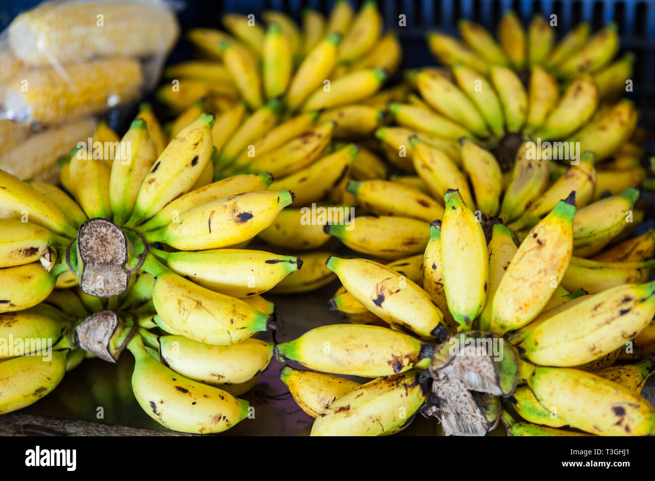 Fresh Banbans at fruitmarket in Borneo Stock Photo - Alamy