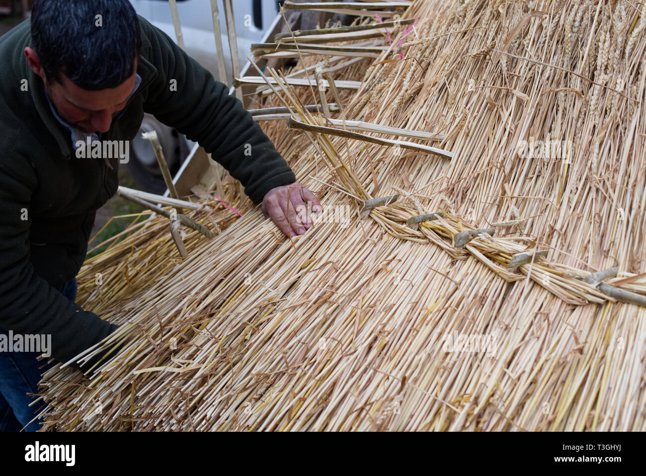 Master thatcher hi-res stock photography and images - Alamy