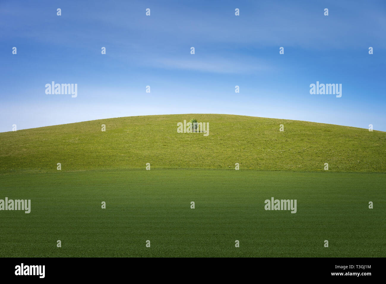 Hulunbeir grasslands hi-res stock photography and images - Alamy