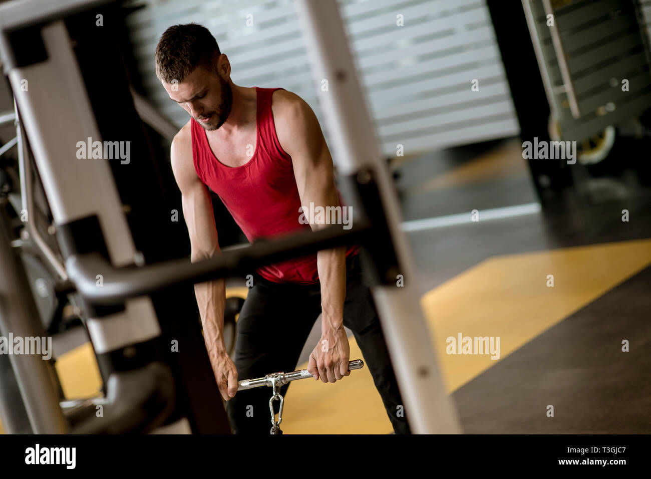 Back workouts hi-res stock photography and images - Alamy