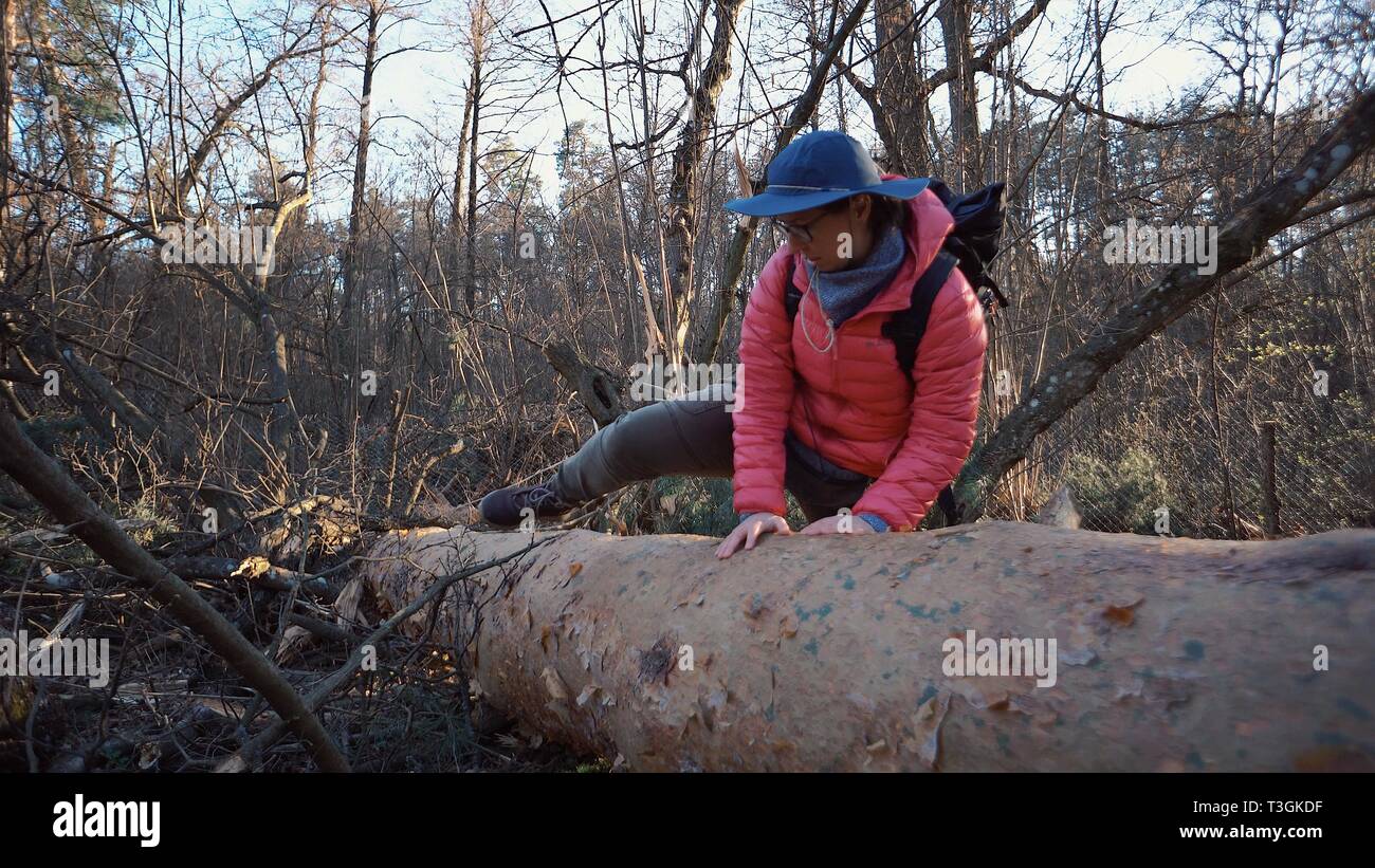 Young woman tourist with a backpack steps over a fallen tree in the ...