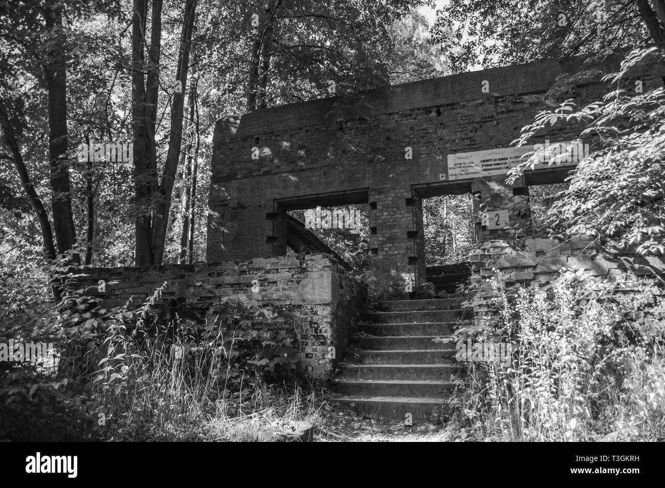 Adolf hitler headquarters ruins hi-res stock photography and images - Alamy