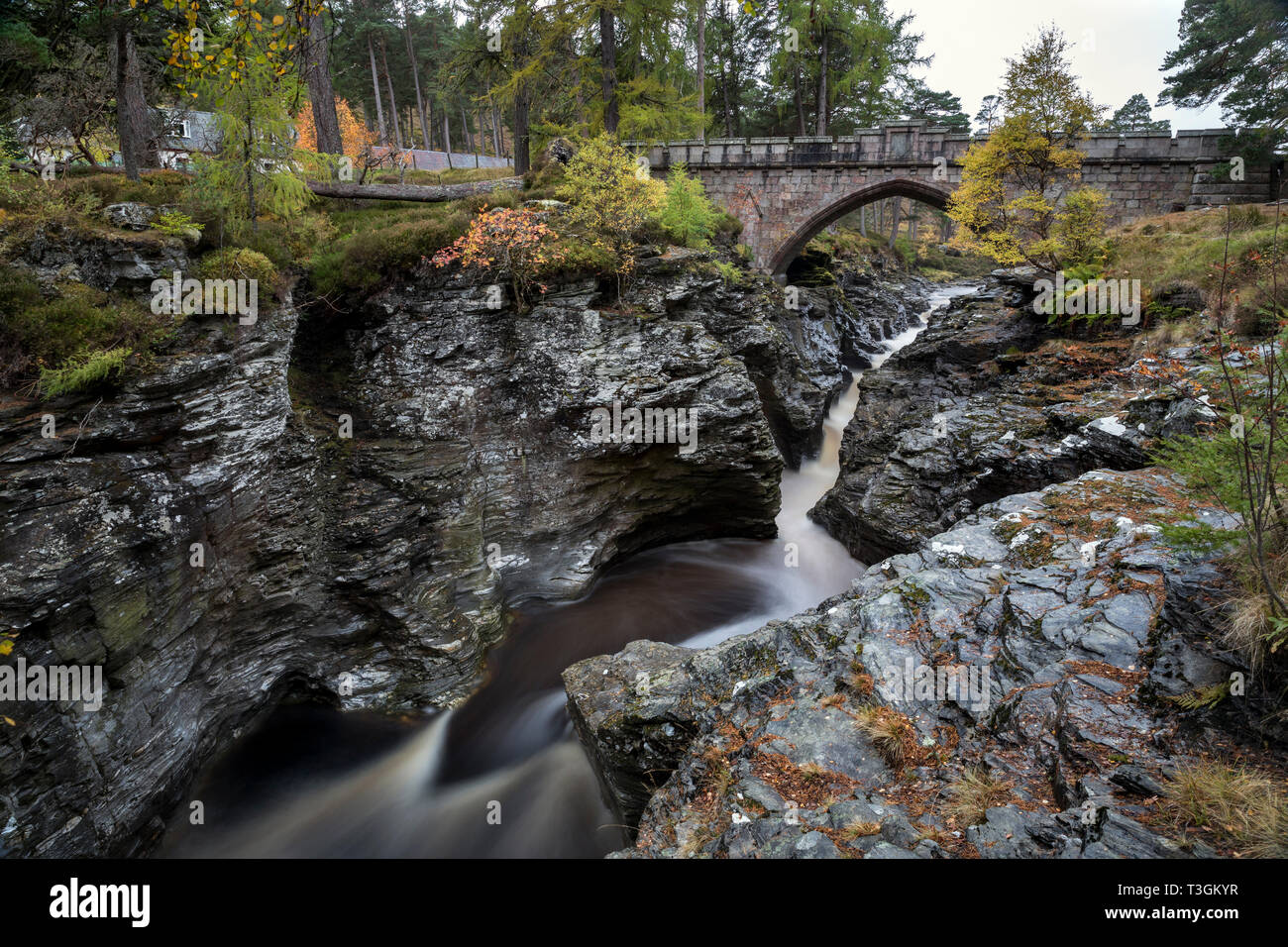 Linn falls hi-res stock photography and images - Alamy