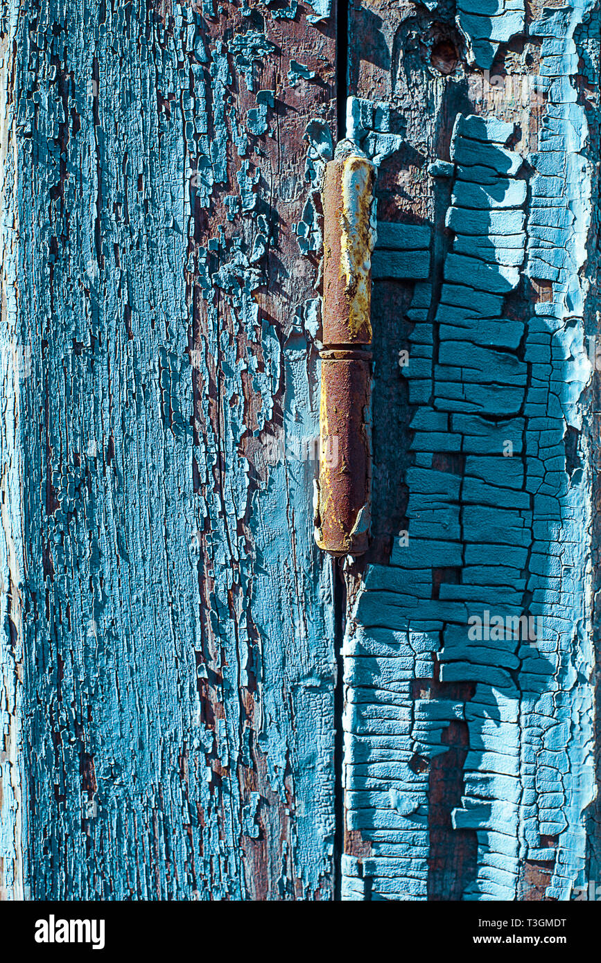 Rusty window hinge on blue wood shutter with cracked and scratch ...