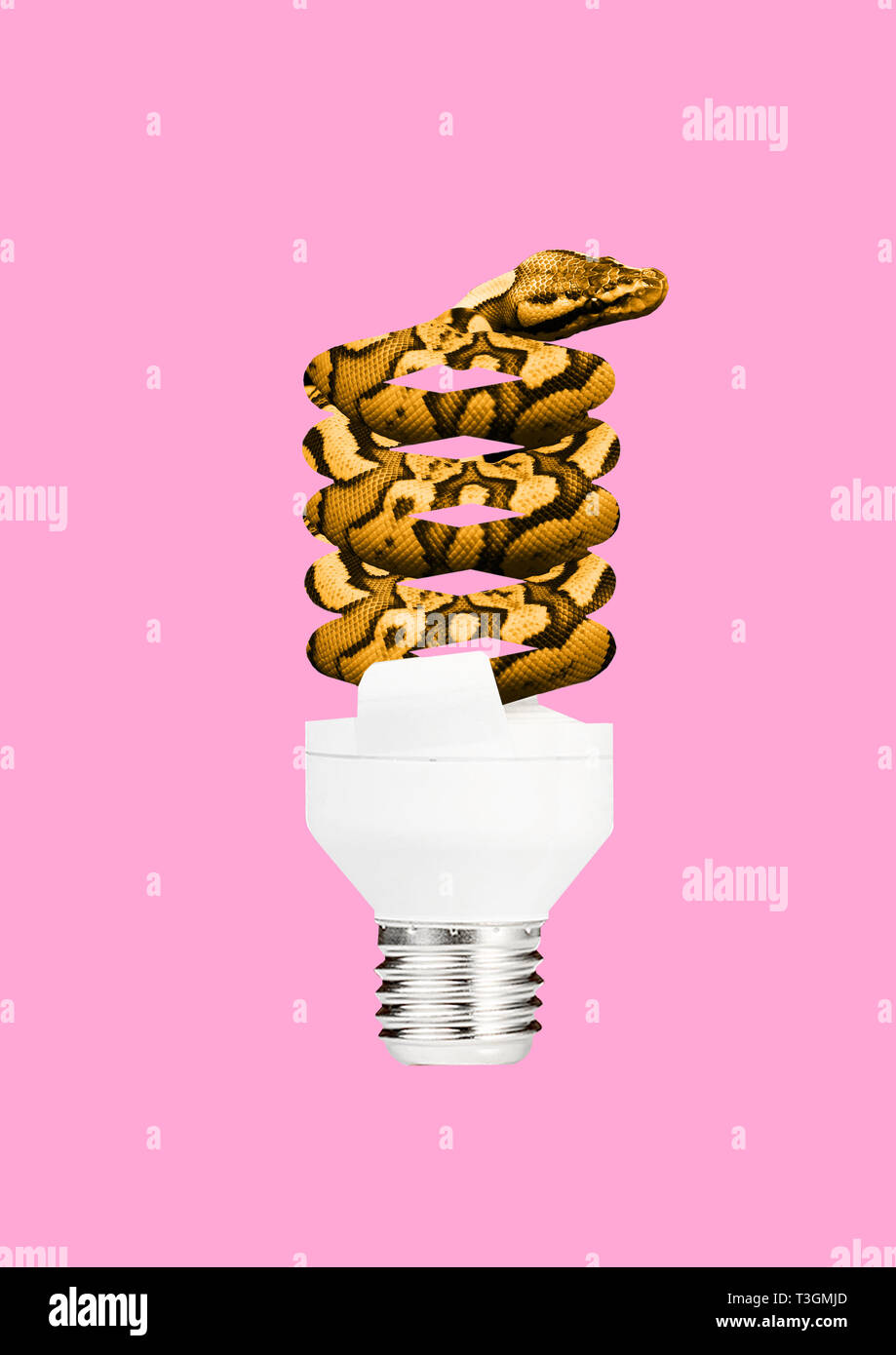 An alternative light. A snake as an electric lamp against trendy coral ...