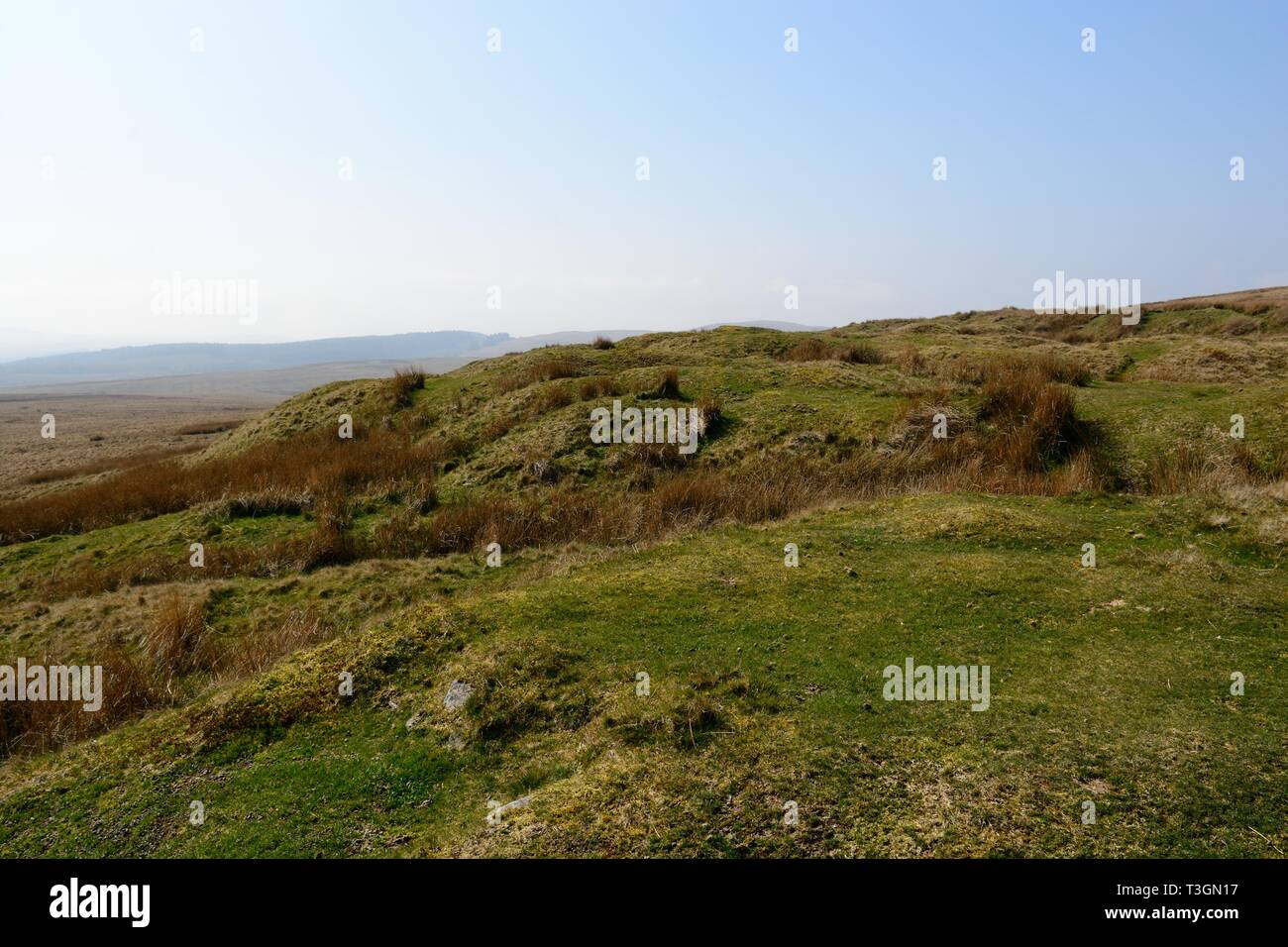 Mynydd bach trecastell hi-res stock photography and images - Alamy