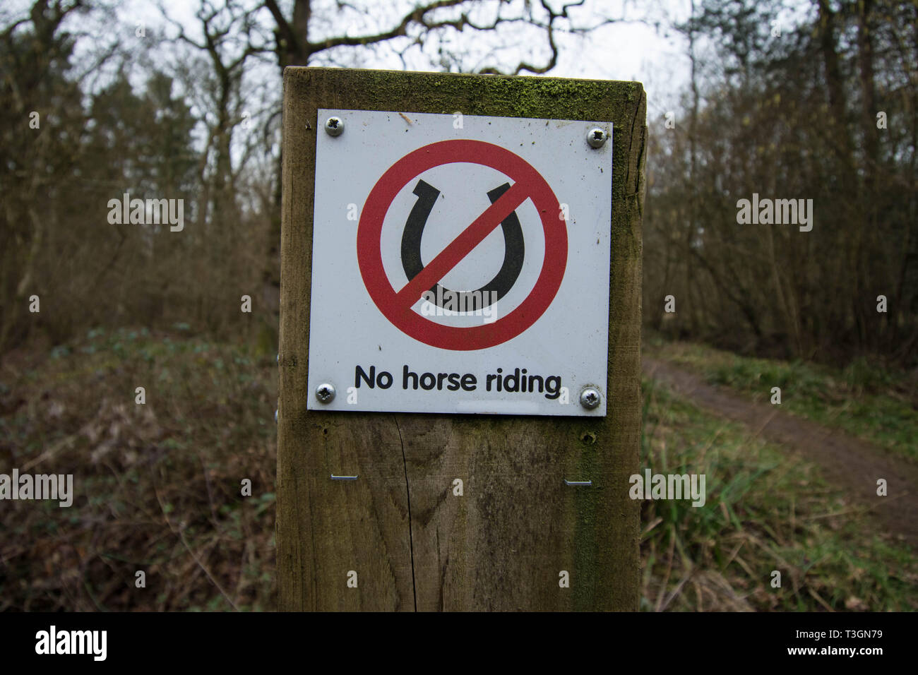 sign no horse riding in Salsey forest Northamptonshire Stock Photo - Alamy
