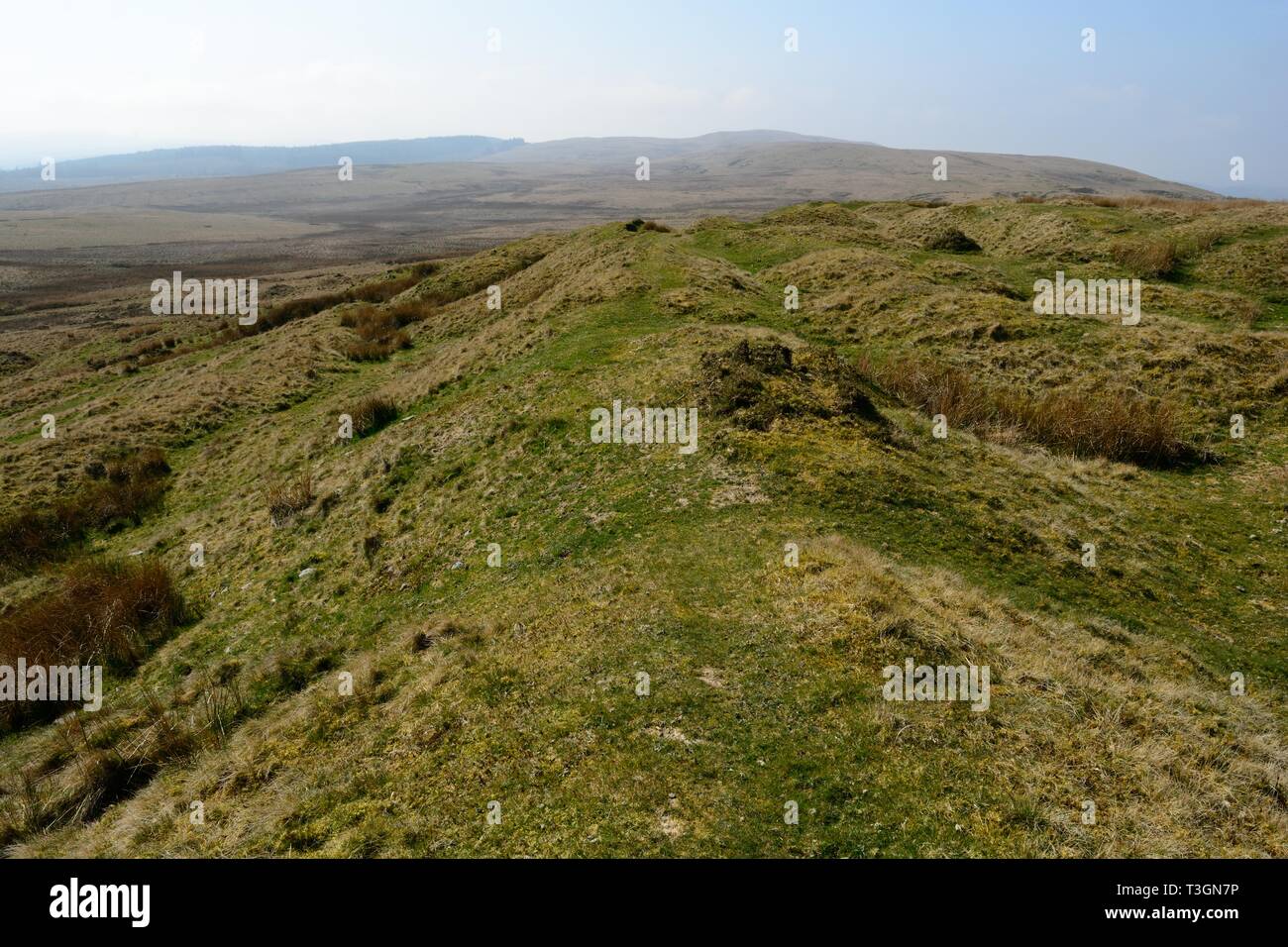 Trecastle hi-res stock photography and images - Alamy