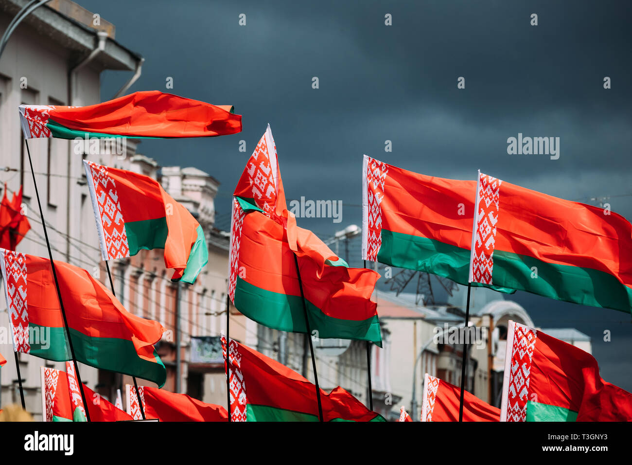 Belarus national flags hi-res stock photography and images - Alamy