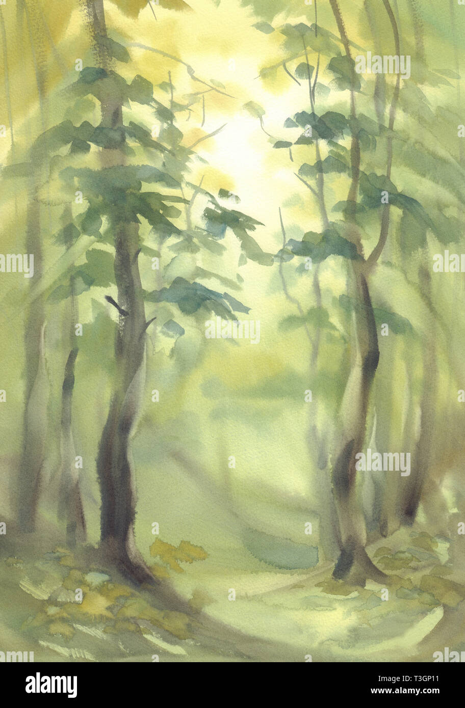 spring forest in the green light watercolor background Stock Photo - Alamy