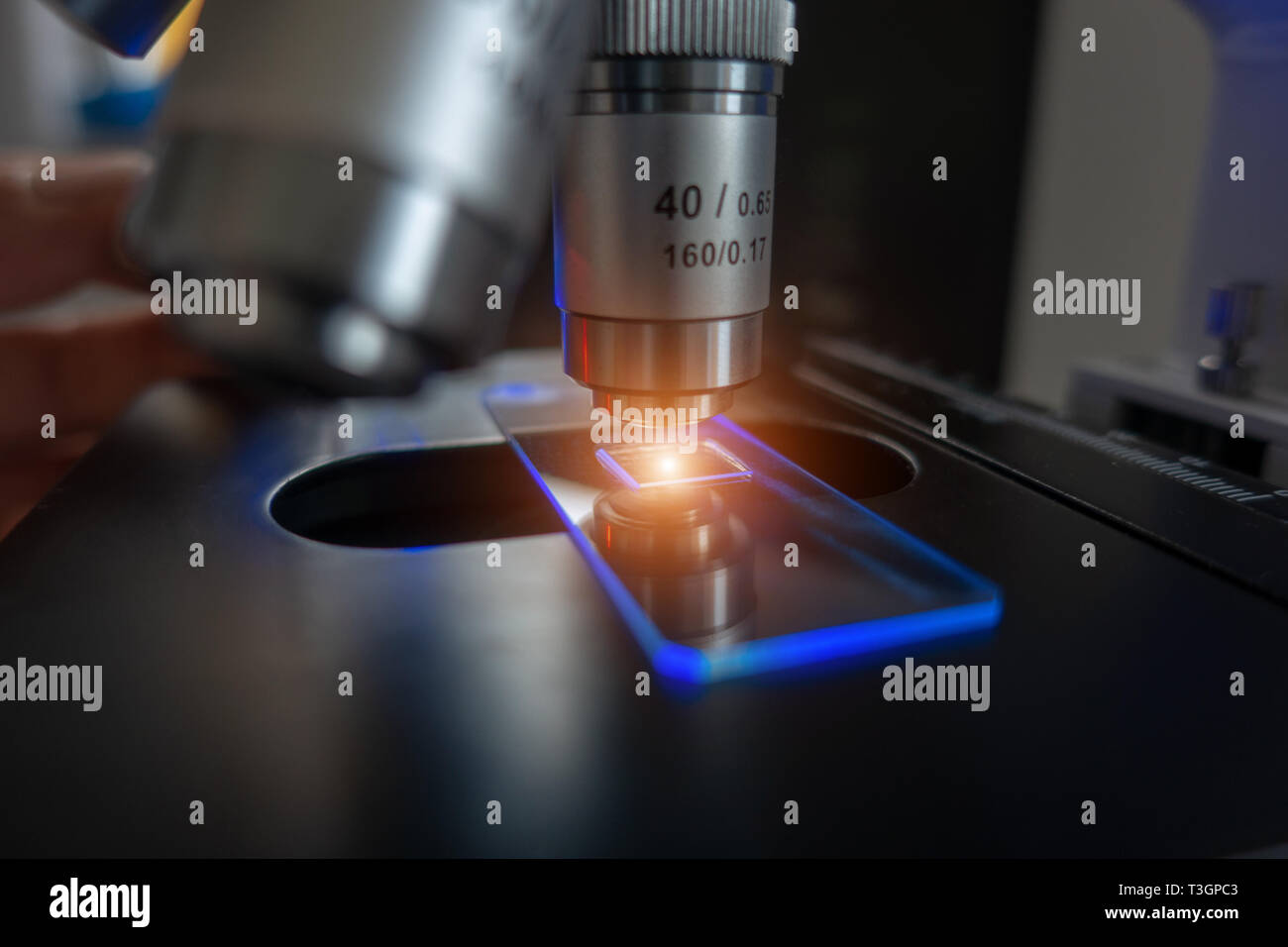 Microscope slide and closeup hi-res stock photography and images - Alamy