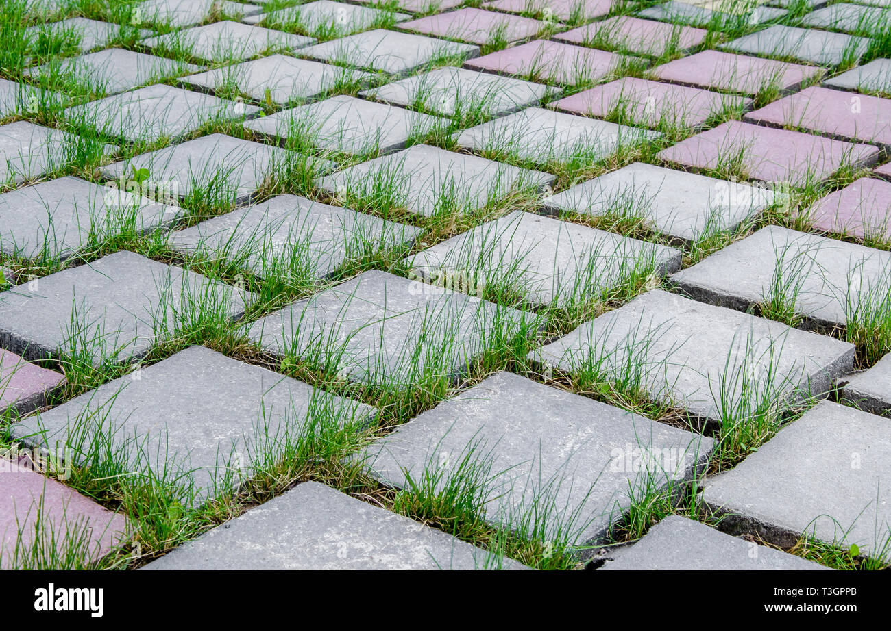 Eco slab paving with germinated grass Stock Photo - Alamy