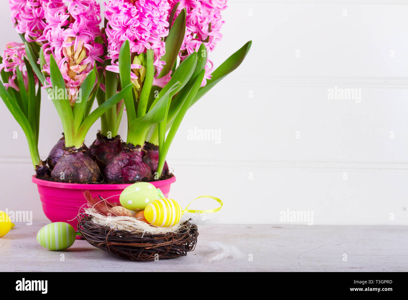 Easter scene with spring flowers and nest of easter eggs close up Stock ...