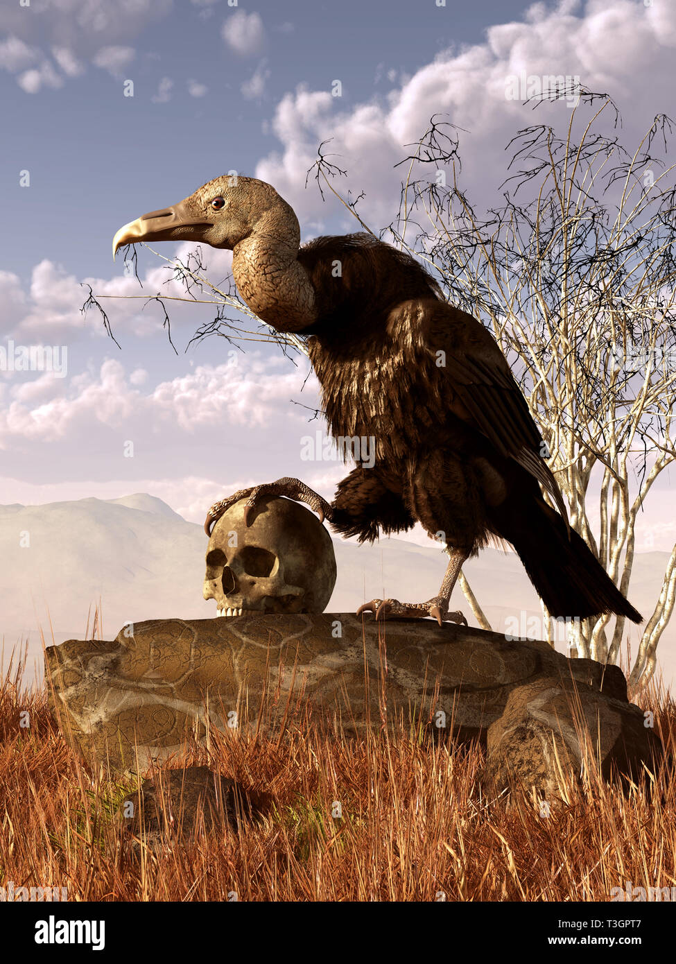 Vultures Eating Human