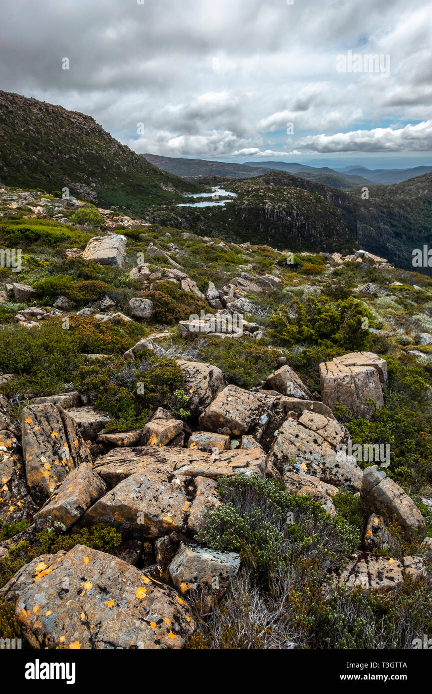 Tarn Shelf Track. Mt Field. Tasmania Stock Photo - Alamy