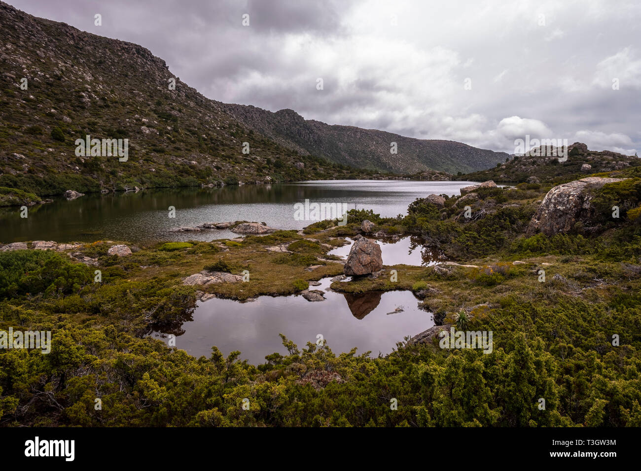 Tarn Shelf Track. Mt Field. Tasmania Stock Photo - Alamy