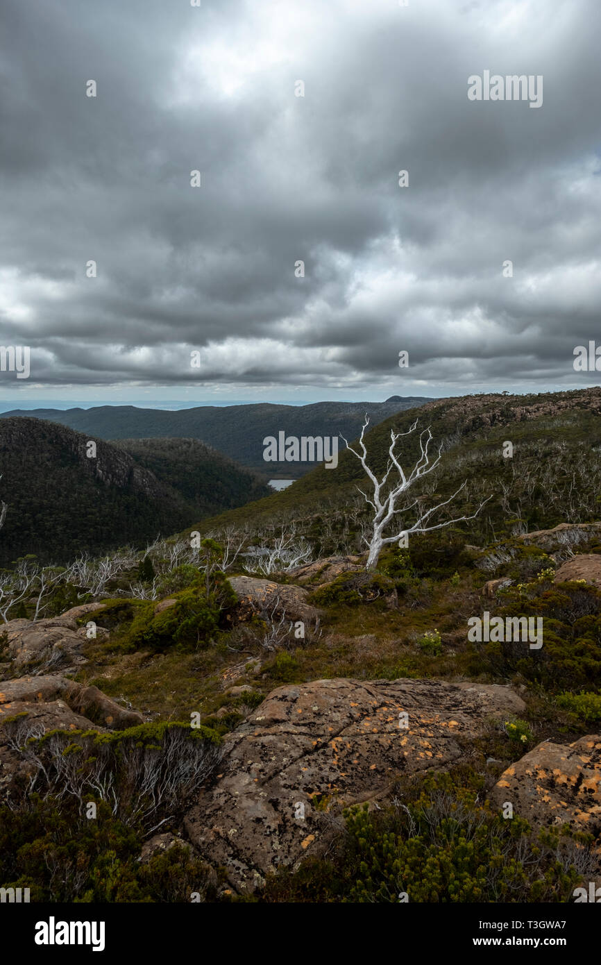 Tarn shelf tasmania hi-res stock photography and images - Alamy