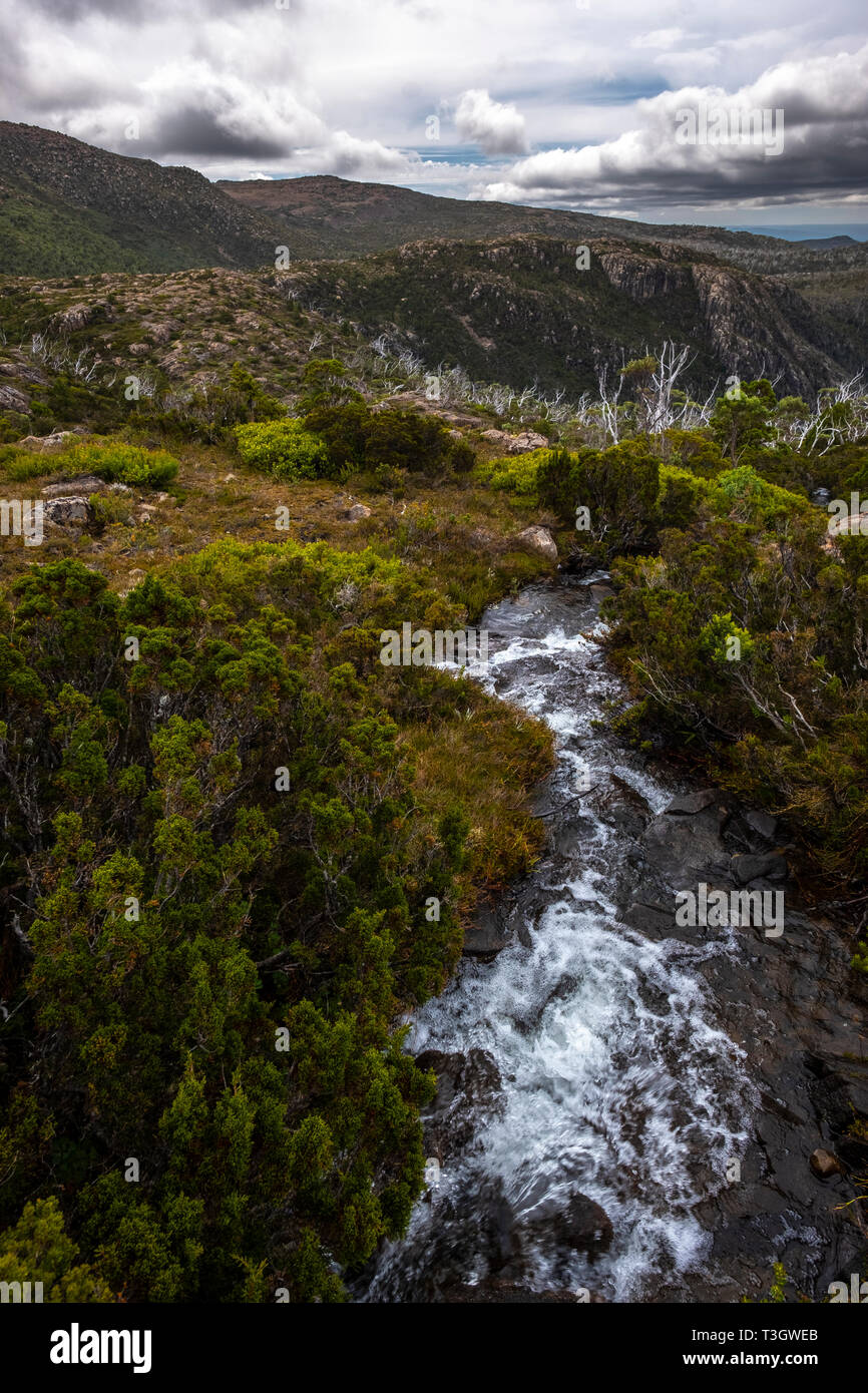 Tarn Shelf Track. Mt Field. Tasmania Stock Photo - Alamy