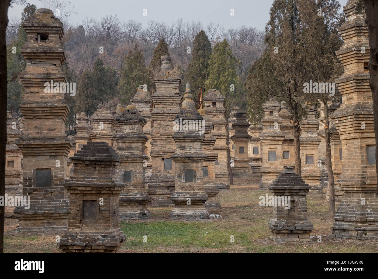 Dengfeng, Henan/China- JANUARY 20, 2019: Talin Pagodas, It’s memorial ...