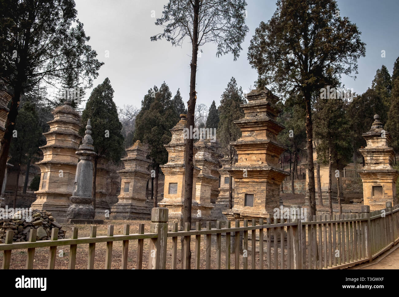 Dengfeng, Henan/China- JANUARY 20, 2019: Talin Pagodas, It’s memorial ...