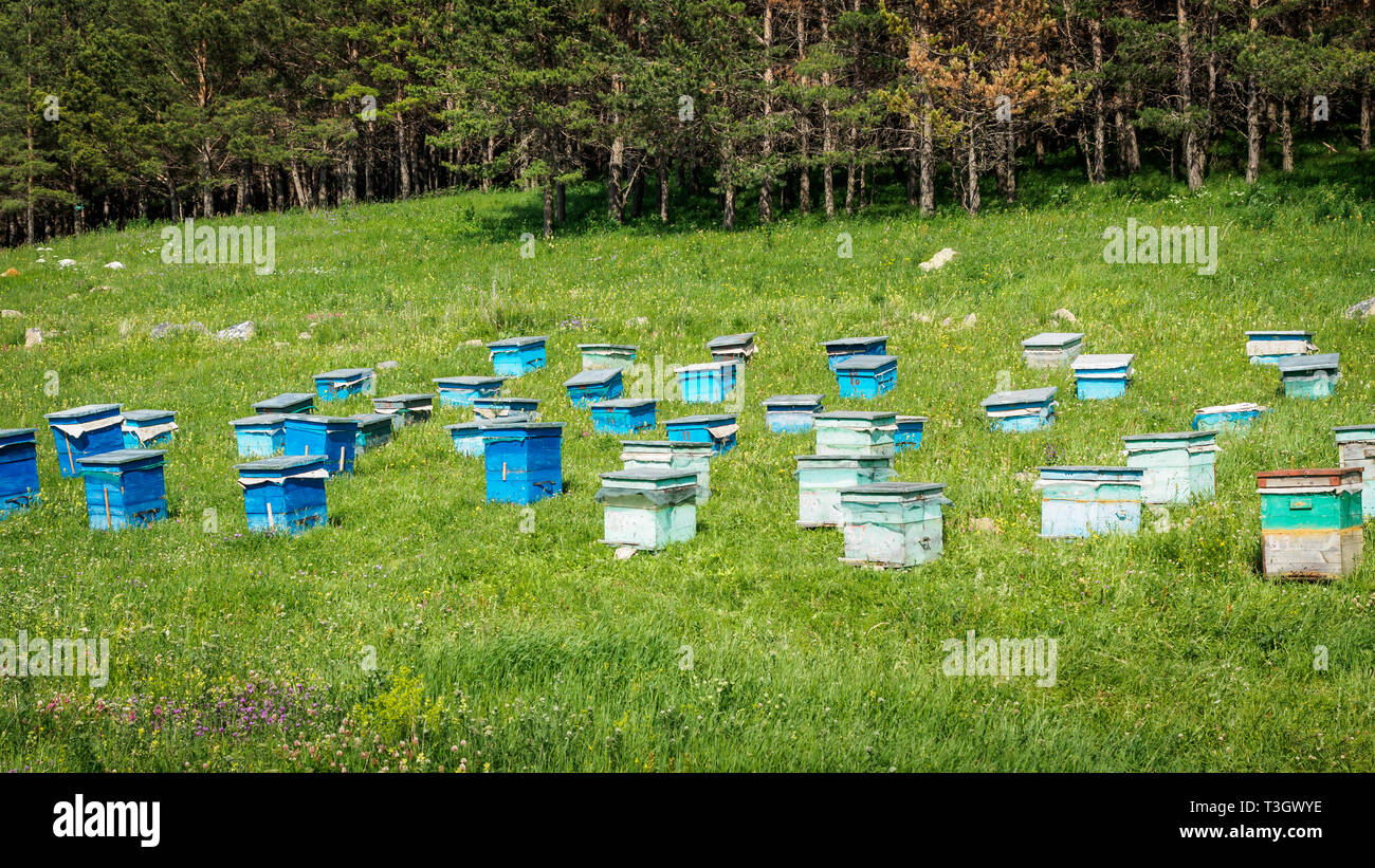 Bee hives standing garden hi-res stock photography and images - Alamy