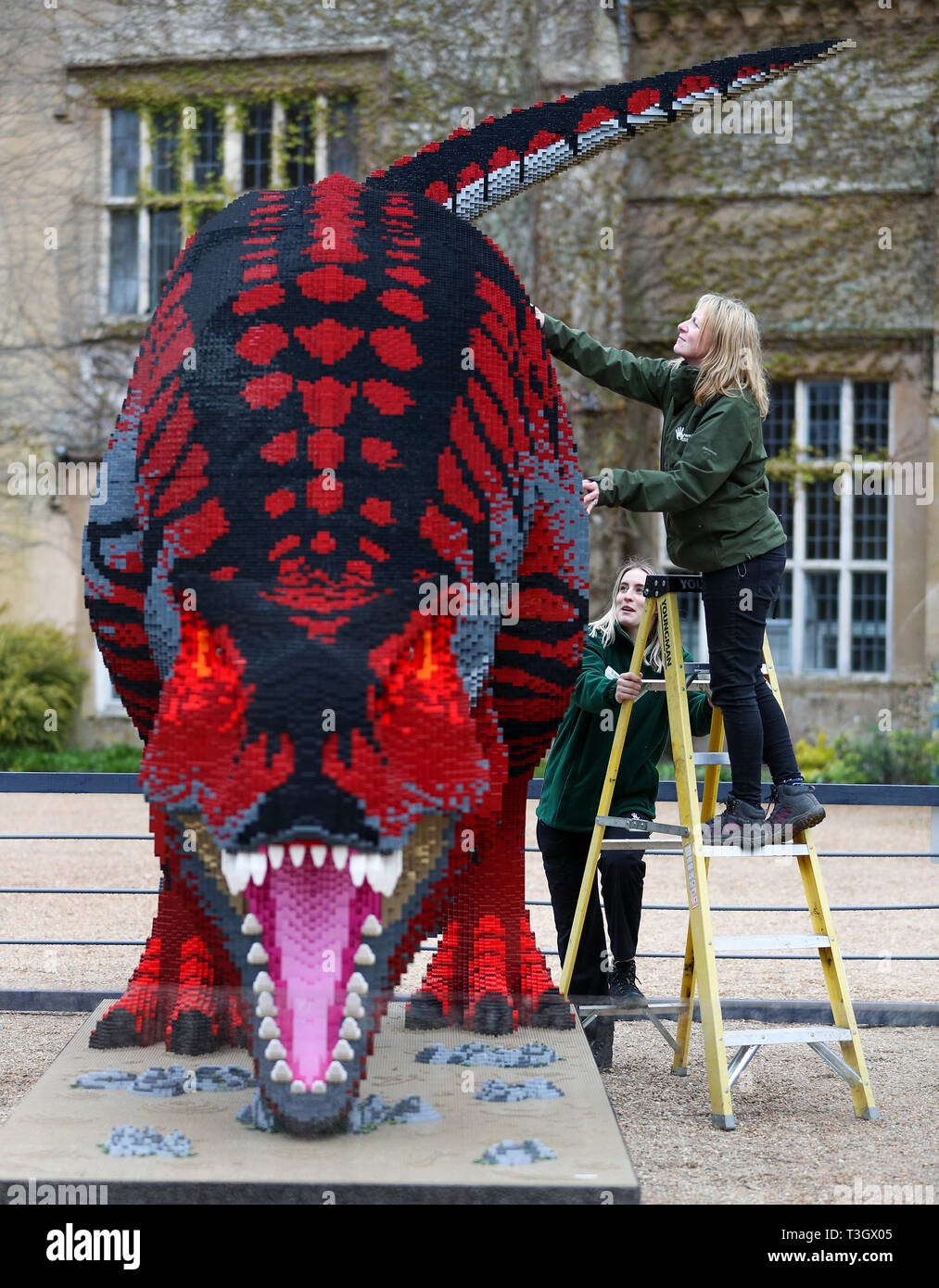 Nicky Cole from Marwell Zoo inspects an eight-metre Tyrannosaurus rex ...