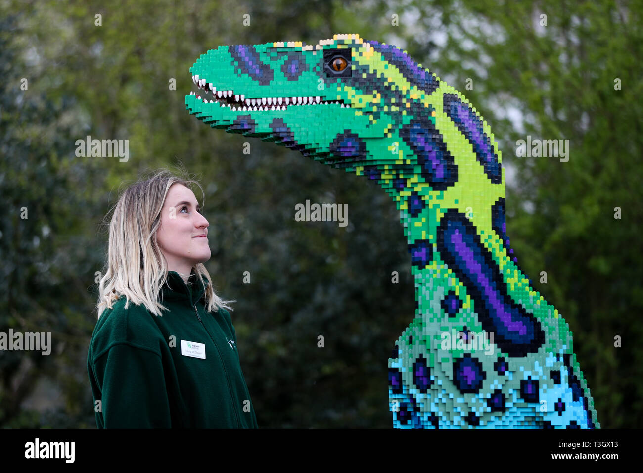 Brickosaurs ampics hi-res stock photography and images - Alamy