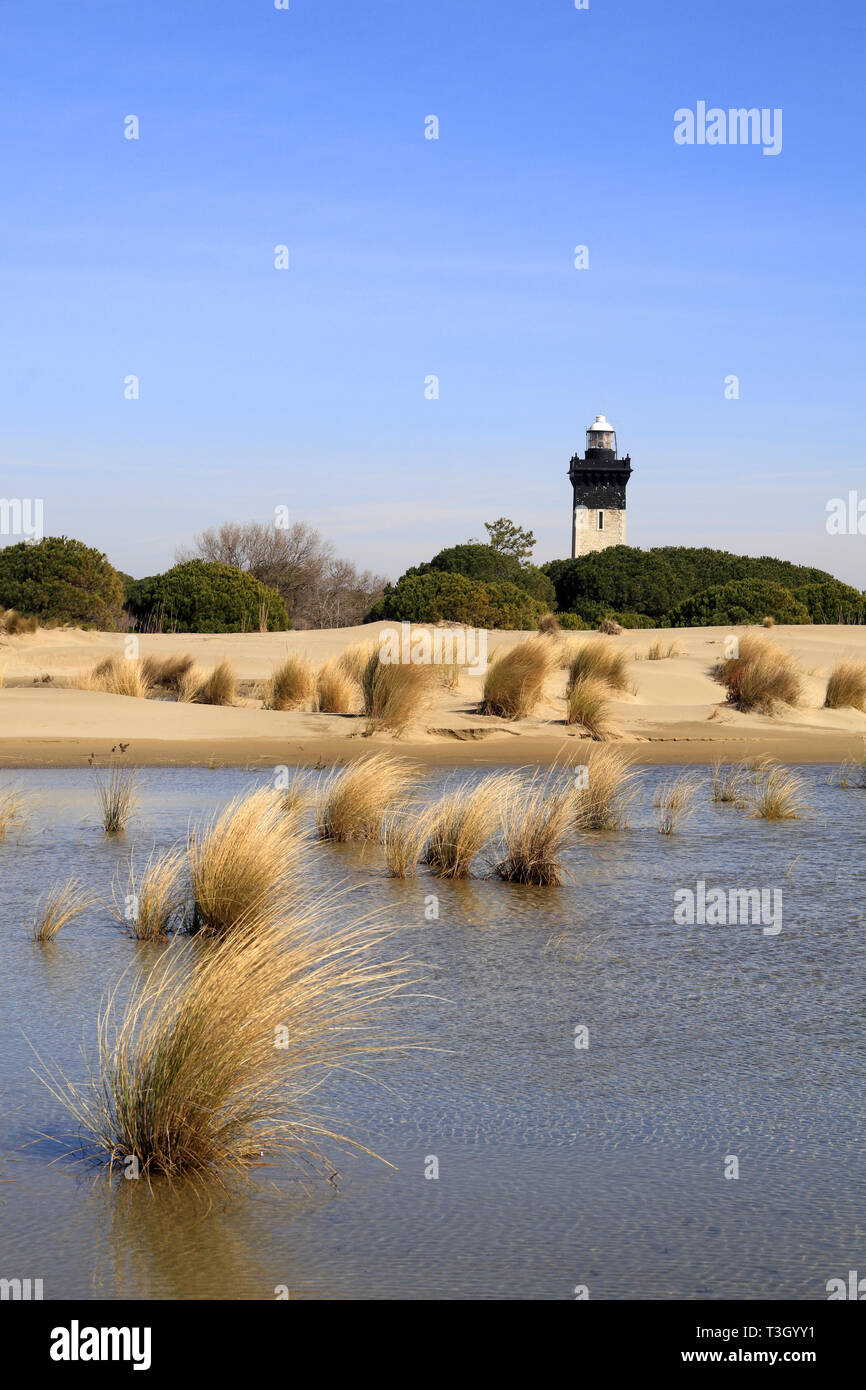 The Lighthouse of the Beach Espiguette in Languedoc Roussillon, France ...