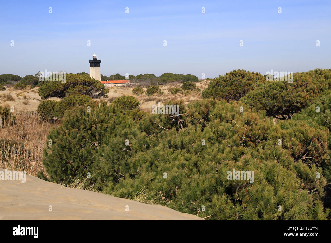 The Lighthouse of the Beach Espiguette in Languedoc Roussillon, France ...
