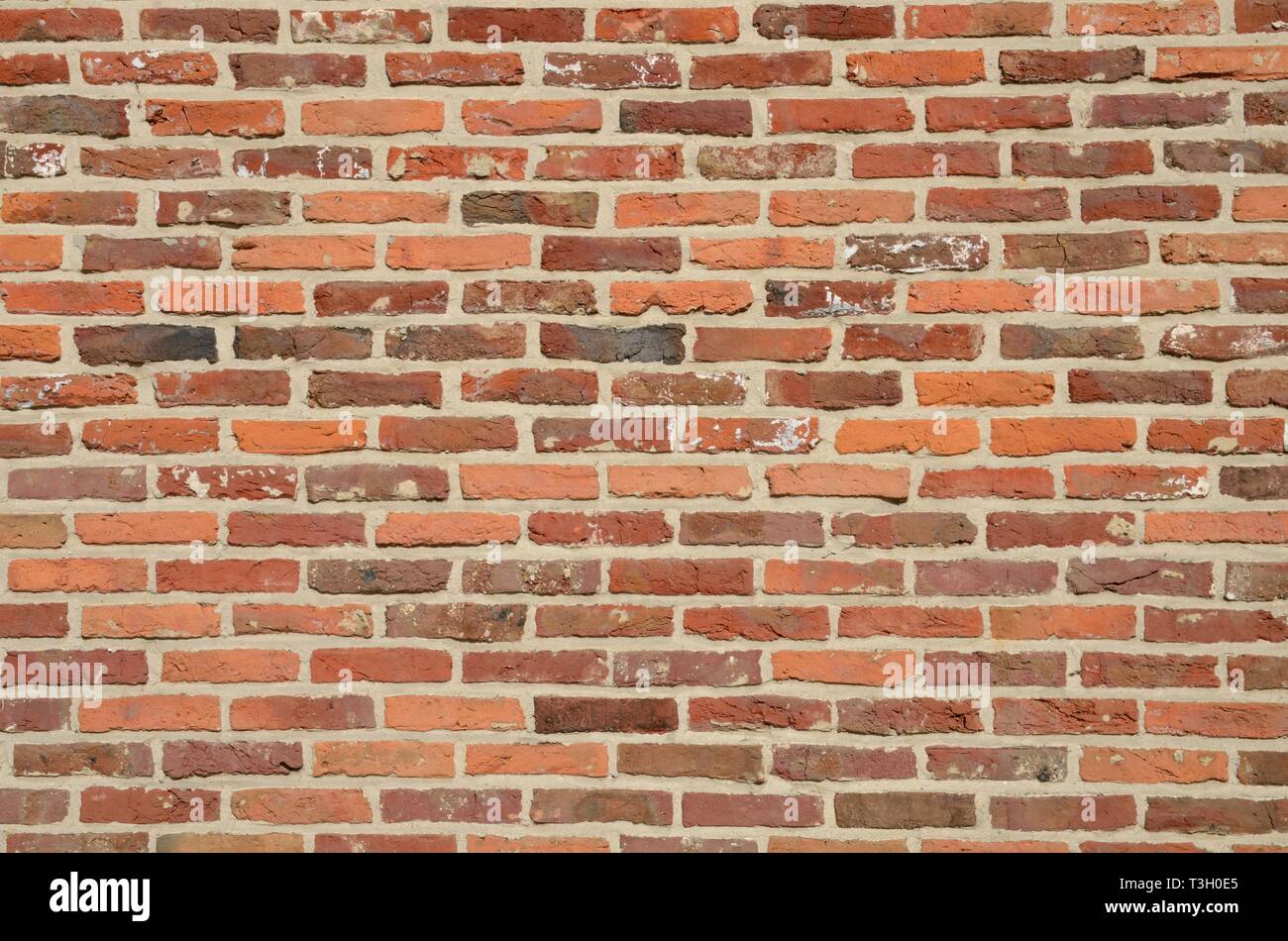 Brick wall of building in Leuven, Belgium Stock Photo - Alamy