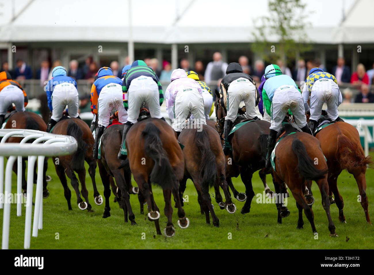 Runners and riders compete in the Weatherbys Racing Bank Standard Open ...
