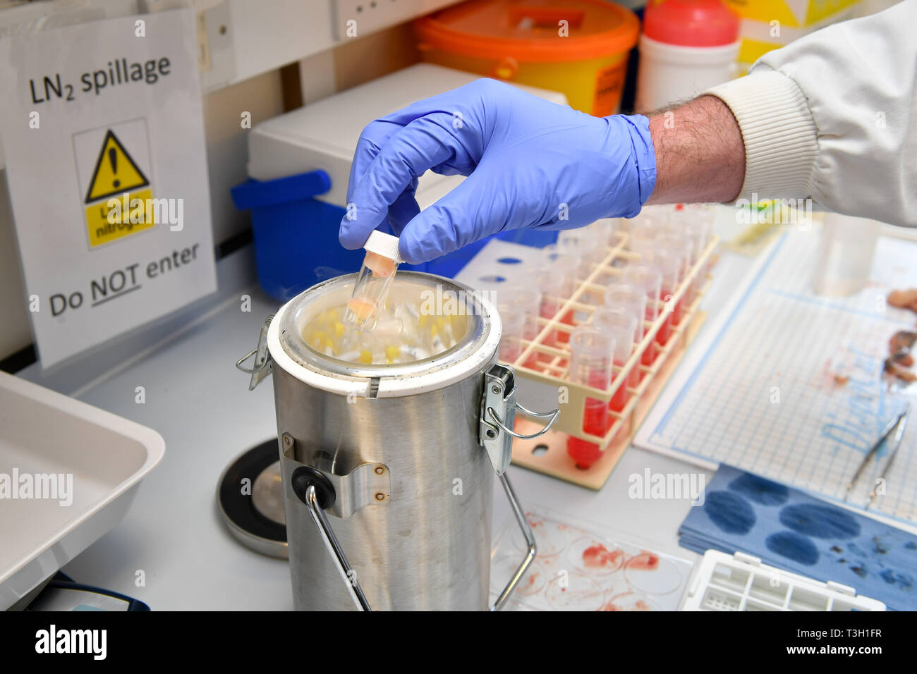 Human samples hi-res stock photography and images - Alamy
