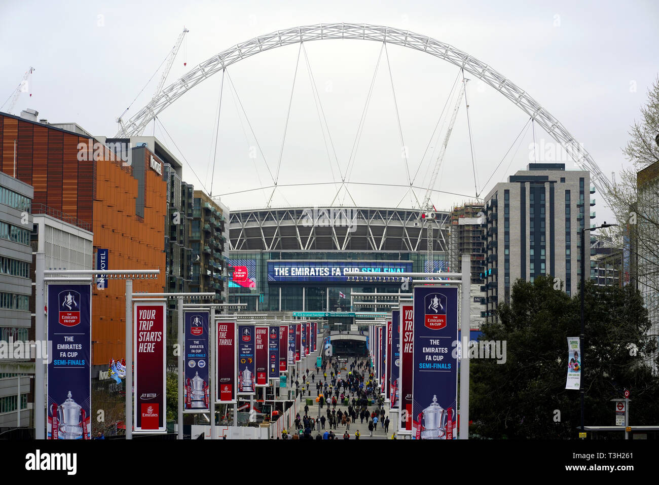 Brighton fans wembley hi-res stock photography and images - Alamy