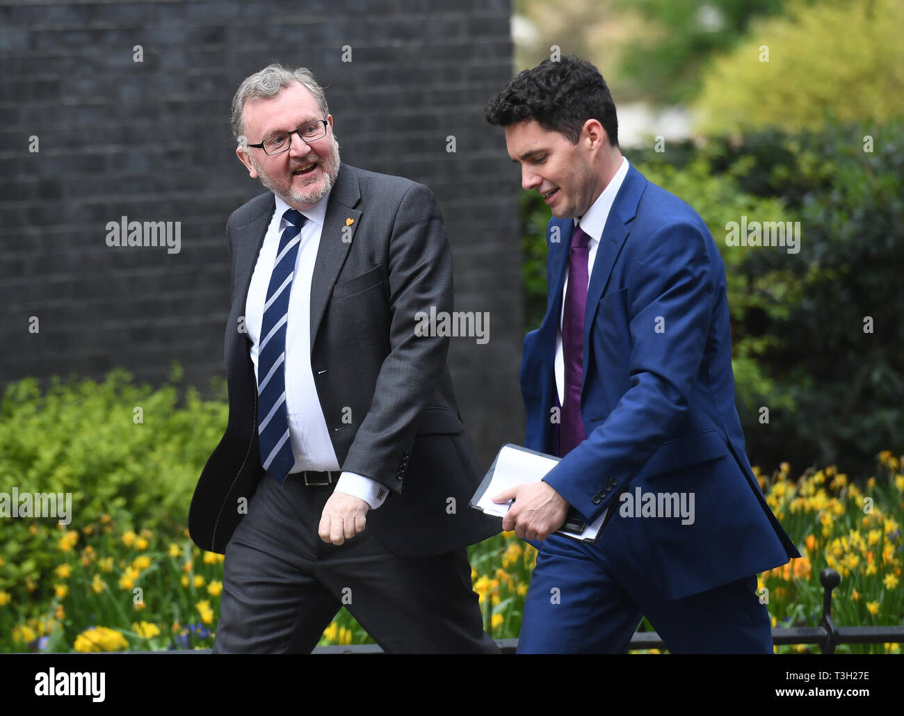 MP David Mundell (left) arrives in Downing Street, London Stock Photo ...