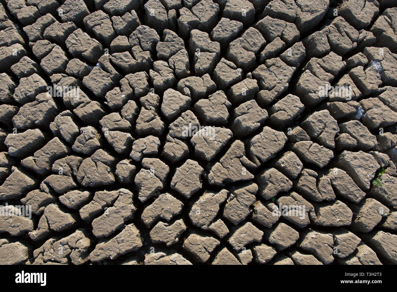 Abstract pattern of dry cracked clay mud in dried up lake bed ...