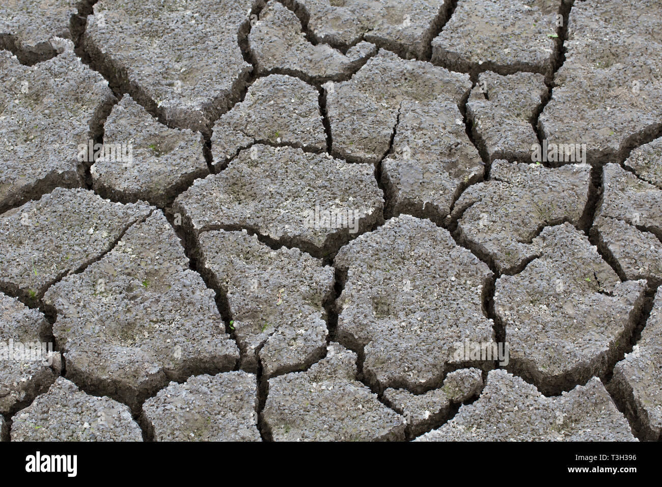 Dried out riverbed hi-res stock photography and images - Alamy